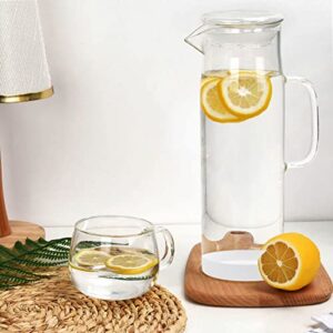 Glass Pitcher with Lid Water Carefe with Handle for Hot/Cold Beverages- Water, Cold Brew, Iced Tea & Juice, 1 Free Silicone Mat Inclued