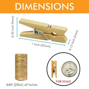 Mini Natural Wooden Clothespins with Jute Twine, 250pcs, 1 Inch Photo Paper Peg Pin Craft Clips with 66ft Natural Twine for Scrapbooking, Arts & Crafts, Hanging Photos (Natural Color)