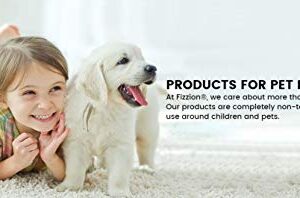 Fizzion Pet Stain and Odor Extra Strength Eliminator (10 Tablets, Extra Strength)