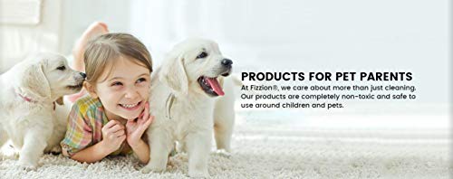 Fizzion Pet Stain and Odor Extra Strength Eliminator (10 Tablets, Extra Strength)