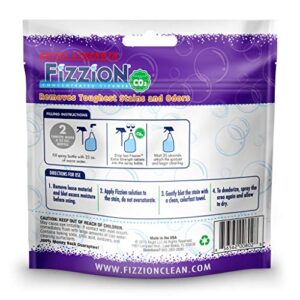 Fizzion Pet Stain and Odor Extra Strength Eliminator (10 Tablets, Extra Strength)