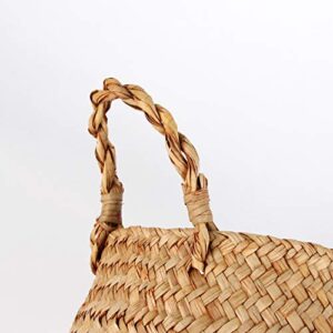 BlueMake Woven Seagrass Belly Basket for Storage, Laundry, Picnic, Plant Pot Cover, and Grocery and Toy Storage (Medium, Sand)