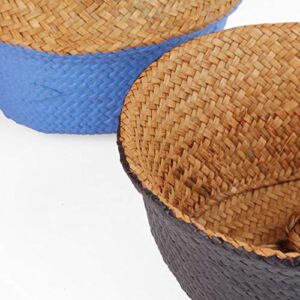 BlueMake Woven Seagrass Belly Basket for Storage, Laundry, Picnic, Plant Pot Cover, and Grocery and Toy Storage (Medium, Sand)