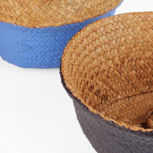 BlueMake Woven Seagrass Belly Basket for Storage, Laundry, Picnic, Plant Pot Cover, and Grocery and Toy Storage (Medium, Sand)