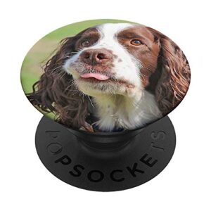 springer spaniel gifts - cute springer spaniel sticking tong popsockets popgrip: swappable grip for phones & tablets