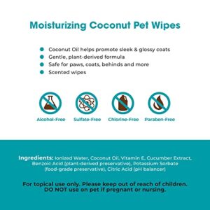 Best Pet Supplies 8" x 9" Pet Grooming Wipes for Dogs & Cats, 100 Pack, Plant-Based Deodorizer for Coats & Dry, Itchy, or Sensitive Skin, Clean Ears, Paws, & Butt - Moisturizing Coconut