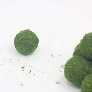 Nice purchase Handmade Natural Green Plant Moss Balls Decorative for Home Party Display Decor Props (2 in)