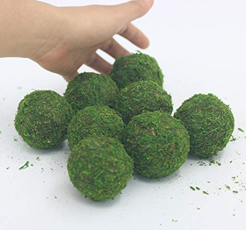 Nice purchase Handmade Natural Green Plant Moss Balls Decorative for Home Party Display Decor Props (2 in)