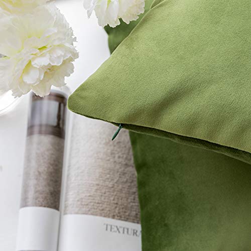 Phantoscope Pack of 2 Velvet Decorative Throw Decorative Pillow Cover Soft Solid Square Cushion Case for Couch Green 20 x 20 inches 50 x 50 cm