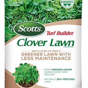 Scotts Turf Builder Clover Lawn, Greener Lawn with Less Maintenance, 2 lbs.