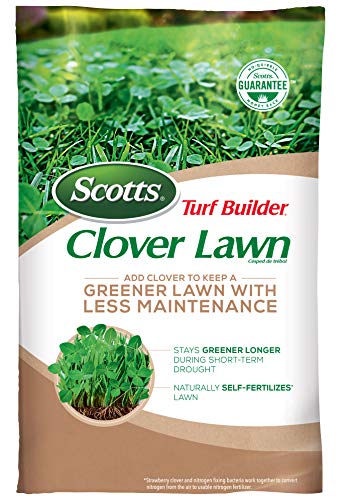 Scotts Turf Builder Clover Lawn, Greener Lawn with Less Maintenance, 2 lbs.