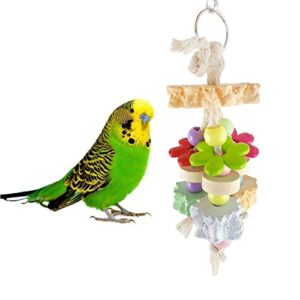 Hypeety Bird Chew Toy Calcium Teeth Grinding Stone Chew Treats Wood String Toy for Hamster Bird Parrot African Grey Parakeets Cockatiels Conures Amazons Small Animal Cage Hanging Bite