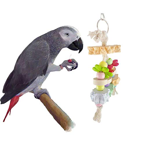 Hypeety Bird Chew Toy Calcium Teeth Grinding Stone Chew Treats Wood String Toy for Hamster Bird Parrot African Grey Parakeets Cockatiels Conures Amazons Small Animal Cage Hanging Bite