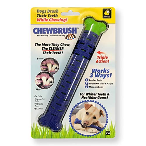 BulbHead Chewbrush Toothbrush Dog Toothbrush and Dog Toy - No Dog Toothpaste Required - Great Dog Teeth Cleaning Toys (1 Pack)