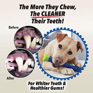 BulbHead Chewbrush Toothbrush Dog Toothbrush and Dog Toy - No Dog Toothpaste Required - Great Dog Teeth Cleaning Toys (1 Pack)