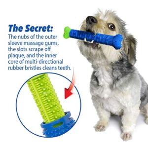 BulbHead Chewbrush Toothbrush Dog Toothbrush and Dog Toy - No Dog Toothpaste Required - Great Dog Teeth Cleaning Toys (1 Pack)