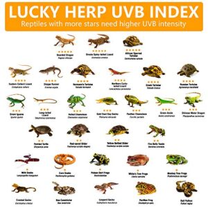 LUCKY HERP 160 Watt UVA+UVB Vapor Heat Lamp Bulb, High Intensity Self-Ballasted Heat Basking Lamp/Bulb/Light for Reptile and Amphibian, Sun Lamp for Bearded Dragon Lizard Turtle