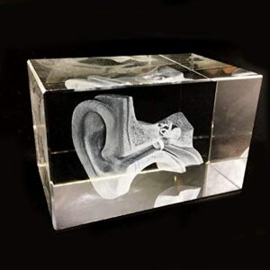 3D Human Ear Anatomical Model Paperweight(Laser Etched) in Crystal Glass Cube Science Gift (No Included LED Base)(3.1x2x2 inch)