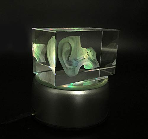 3D Human Ear Anatomical Model Paperweight(Laser Etched) in Crystal Glass Cube Science Gift (No Included LED Base)(3.1x2x2 inch)