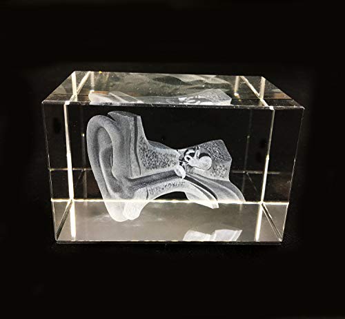 3D Human Ear Anatomical Model Paperweight(Laser Etched) in Crystal Glass Cube Science Gift (No Included LED Base)(3.1x2x2 inch)