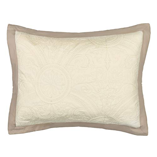 VUE Bensonhurst Modern Embroidered Rectangular Decorative Euro Sham Pillow Case, 20" x 36", Ivory