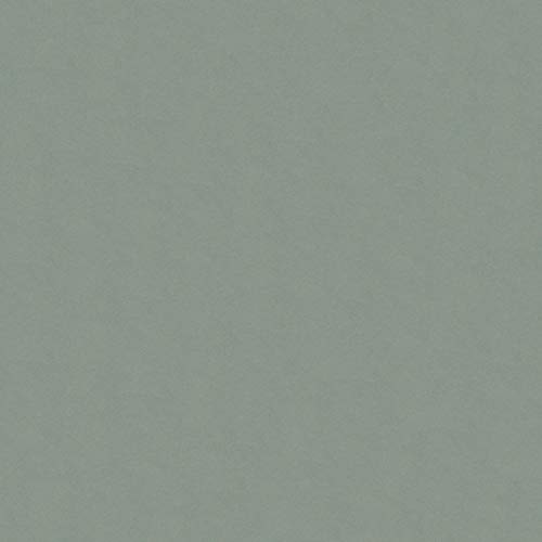 Medium Gray Cardstock - 8.5 x 11 inch - 80Lb Cover - 50 Sheets - Clear Path Paper