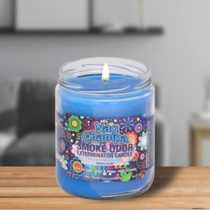 Smoke Odor Exterminator 13 oz Jar Candles Nag Champa, (3)