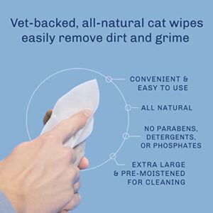 TrueBlue Milk & Honeysuckle Fresh Fur Cat Cleaning Wipes - Pre-Moistened Cleansing Pads for Cleaning Dirty Paws, Coats, Cats, Kittens – Extra Large – 8”x7” – 100 Count