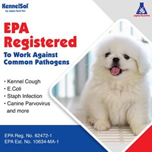 KennelSol 1-Step Kennel Cleaner - Liquid Concentrate Disinfectant and Deodorizer, Effective Against Bacteria and Viruses - 1 Pint