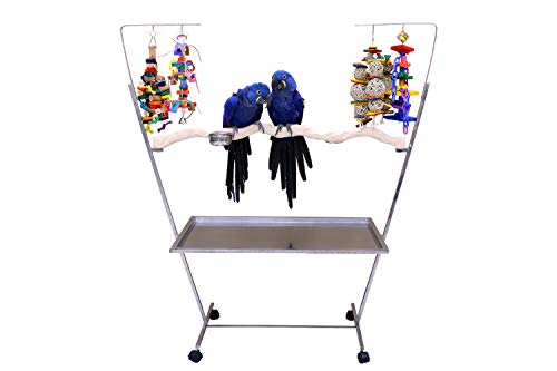 Large Stainless Steel Parrot Play Stand