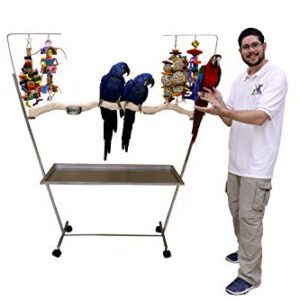 Large Stainless Steel Parrot Play Stand