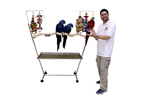 Large Stainless Steel Parrot Play Stand