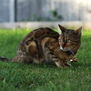 Beau's Bells 2 Extra Loud Cat & Dog Bells | Pet Tracker | Save Birds & Wildlife | Luxury Handmade Copper (Small)