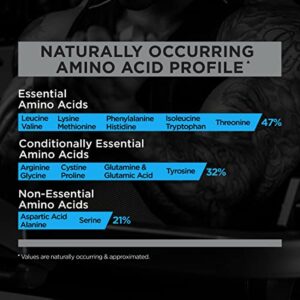 Rule One Proteins Whey Blend - Vanilla Ice Cream, 24g Fast-Acting Whey Protein Concentrates, Isolates, and Hydrolysates Per Serving, with Naturally Occurring EAAs and BCAAs, 2lbs