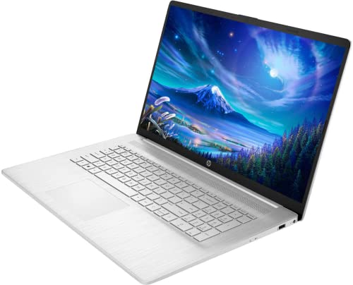 HP 17.3'' HD Touchscreen Business Lap, Intel Core i7-1165G7, Win 11 Pro, 64GB RAM 2TB SSD, HDMI, WiFi 6, Bluetooth, Webcam, Numeric Keypad, Backlit Keyboard, Long Battery Life, Tech Deal USB, Silver