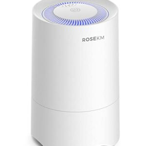 ROSEKM Small Air Purifier for Home Bedroom, Personal Desk Mini Air Purifier, Room Hepa Air Purifier Fresheners Cleaner for Pets, Smoke, Desktop, Office (White)