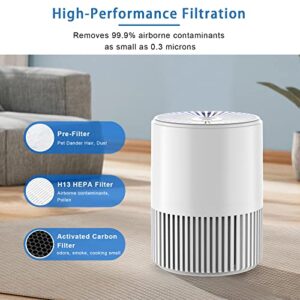 Air Purifiers for Bedroom Home- H13 True HEPA Air Purifier for Smoke Dust Pet Dander Odors and Pollen, with Fragrance Sponge Quiet Sleep Mode Air Cleaner for Living Room Home Office Kitchen