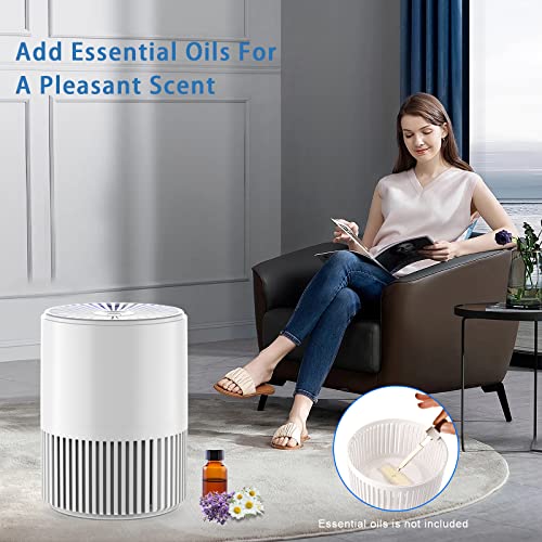 Air Purifiers for Bedroom Home- H13 True HEPA Air Purifier for Smoke Dust Pet Dander Odors and Pollen, with Fragrance Sponge Quiet Sleep Mode Air Cleaner for Living Room Home Office Kitchen