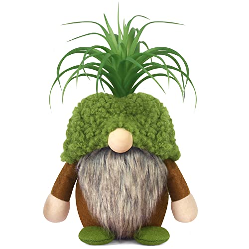 Succulent Air Plant Gnomes Summer Green Plush Gnomes with Slender Leaves Tomte Handmade Scandinavian Decor Cacti Nordic Dwarf Home Tiered Tray Shelf Sitter Decor Collection Garden Gift Cactus Lovers