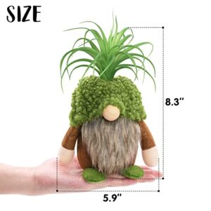 Succulent Air Plant Gnomes Summer Green Plush Gnomes with Slender Leaves Tomte Handmade Scandinavian Decor Cacti Nordic Dwarf Home Tiered Tray Shelf Sitter Decor Collection Garden Gift Cactus Lovers