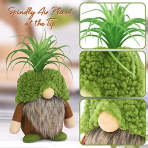 Succulent Air Plant Gnomes Summer Green Plush Gnomes with Slender Leaves Tomte Handmade Scandinavian Decor Cacti Nordic Dwarf Home Tiered Tray Shelf Sitter Decor Collection Garden Gift Cactus Lovers