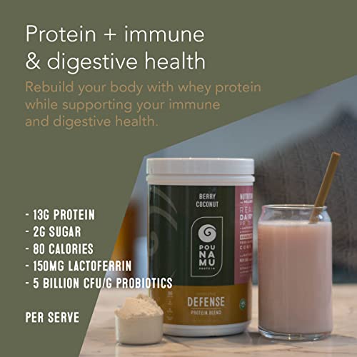 Pounamu Immune Defense Berry Coconut Protein Powder Blend | Grass-Fed, Free-Range New Zealand Whey Protein + Lactoferrin + Probiotics + Vitamins C & D for Immune and Digestive Health 14.4OZ