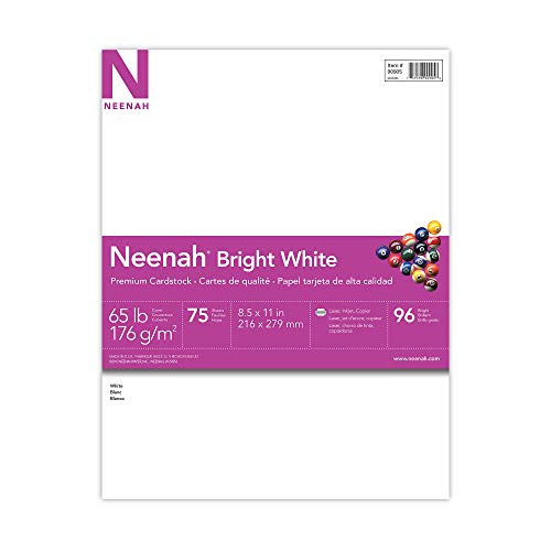 Neenah Exact Vellum Bristol, 8.5" x 11", 67 lb/147 gsm, White, 94 Brightness, 250 Sheets (80211) & Astrobrights/Neenah Bright White Cardstock, 8.5" x 11", 65 lb/176 gsm, White, 75 Sheets (90905-02)