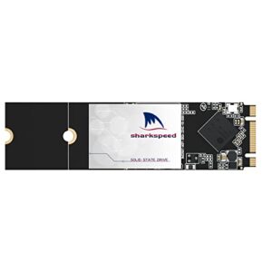 256gb internal ssd m.2 2280 ngff sharkspeed plus 3d nand sata iii 6 gb/s,internal solid state drive for notebooks desktop pc (m.2 2280 256gb)