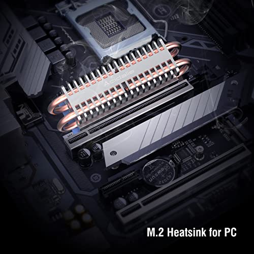 Acidalie M.2 SSD heatsink with Double Layer Aluminum and 4 Copper Heat Pipes Cooler for M.2 SSD 2280[Silver]