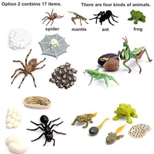 Animal Life Cycle Process Model, Frog, ant, Spider, Mantis Teaching aid Modeling Toys (Second Set of Packages (17 Pieces)