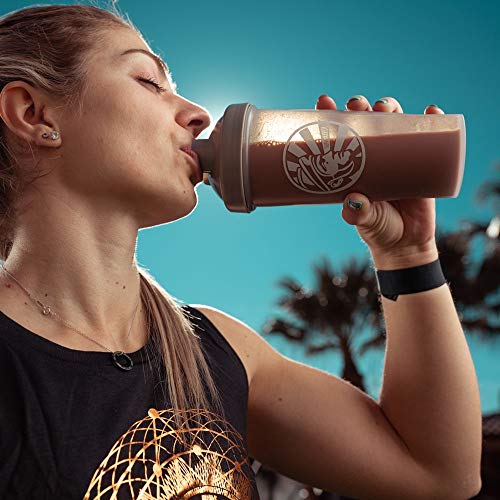 Sunwarrior Vegan Protein Powder with BCAA | Organic Hemp Seed Protein Gluten Free Non-GMO Dairy Free Soy Sugar Free Low Carb Plant Based Protein | Vanilla 17 Servings | Warrior Blend