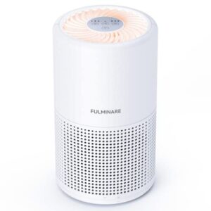 air purifiers for bedroom, fulminare h13 true hepa air filter, quiet air cleaner with night light, portable small air purifier for office living room, remove 99.97% 0.01 microns dust, smoke, pollen