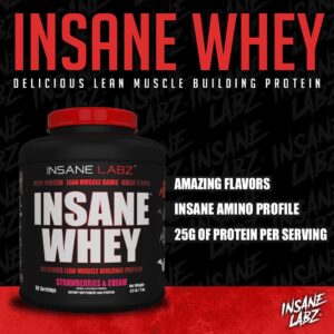 Insane Labz Insane Whey,100% Muscle Building Whey Protein, Post Workout, BCAA Amino Profile, Mass Gainer, Meal Replacement, 5lbs, 60 Srvgs, (Birthday Cake)