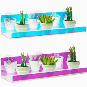 iridescent window shelf for plants, 2 acrylic window mounted shelves, plant window shelf for bathroom, shower & kitchen, rainbow iridescent decor modern acrylic suction cup window ledge plant shelf